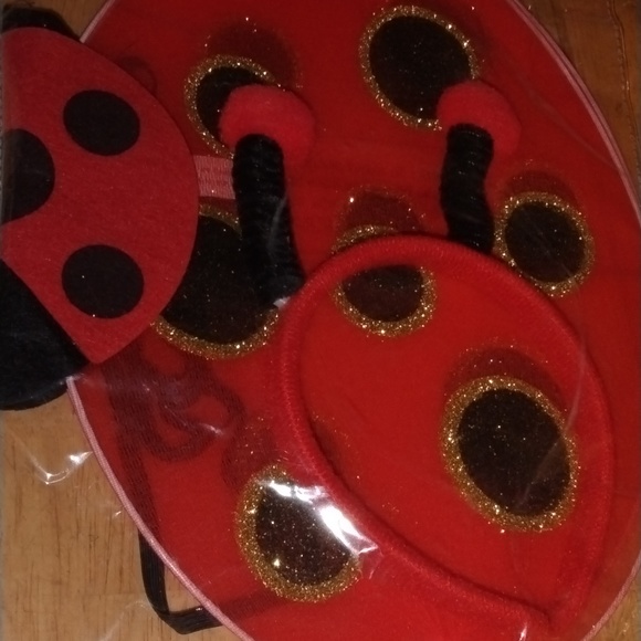 Dollar General | Costumes | Instant Lady Bug Dress Up Costume Wings ...